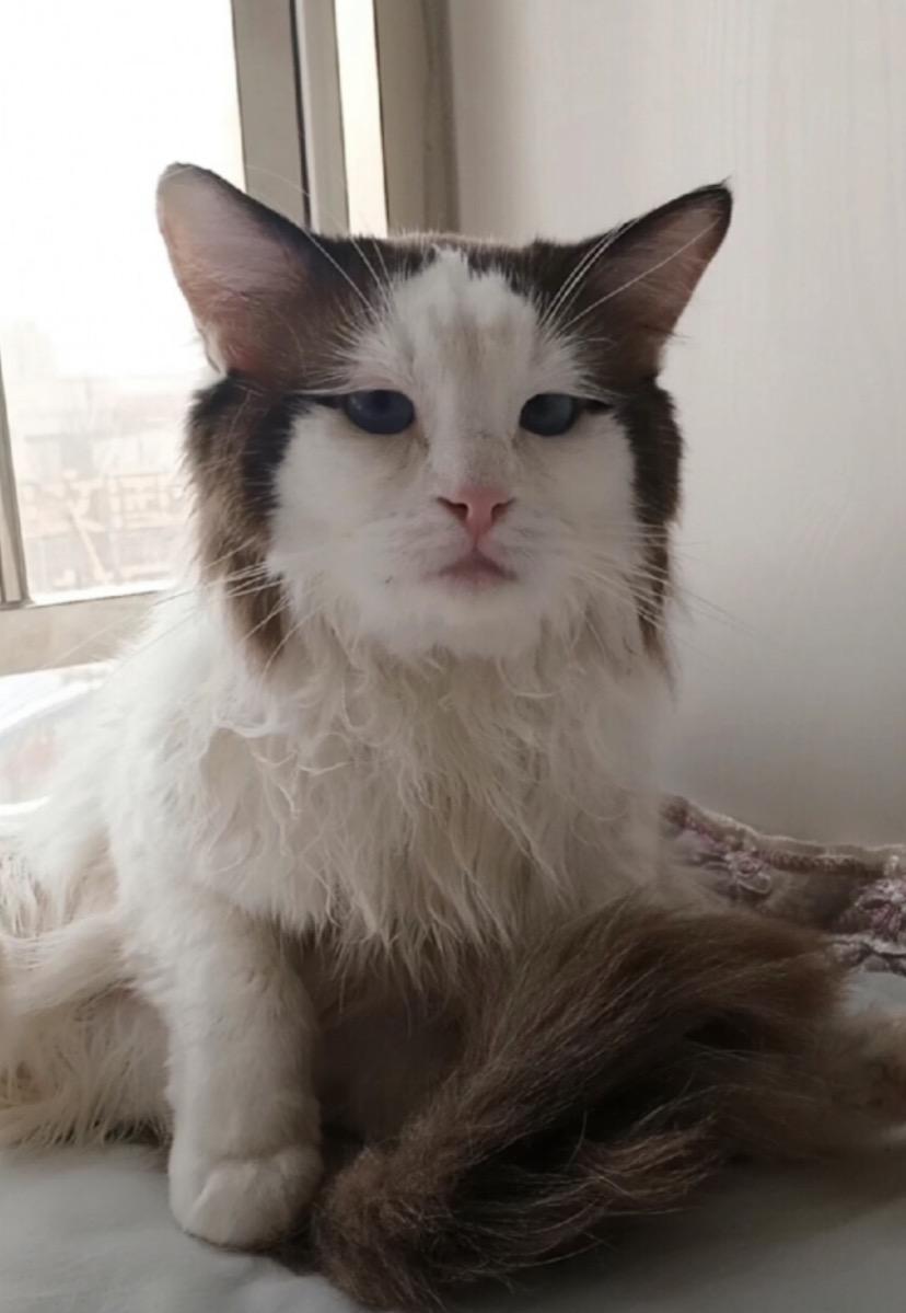 欢迎来到 Moe Tom！👋 - 通用 - Moe Tom